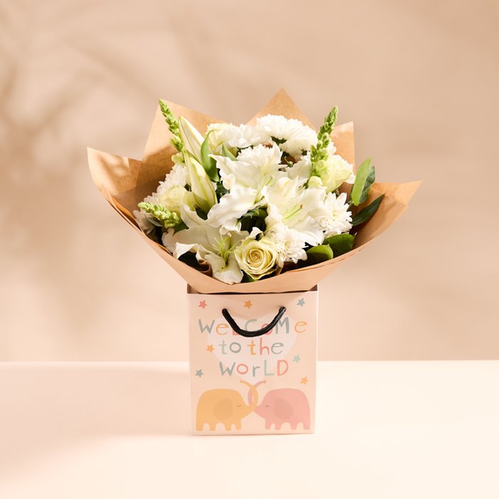 The New Baby Gift Bag Moonpig